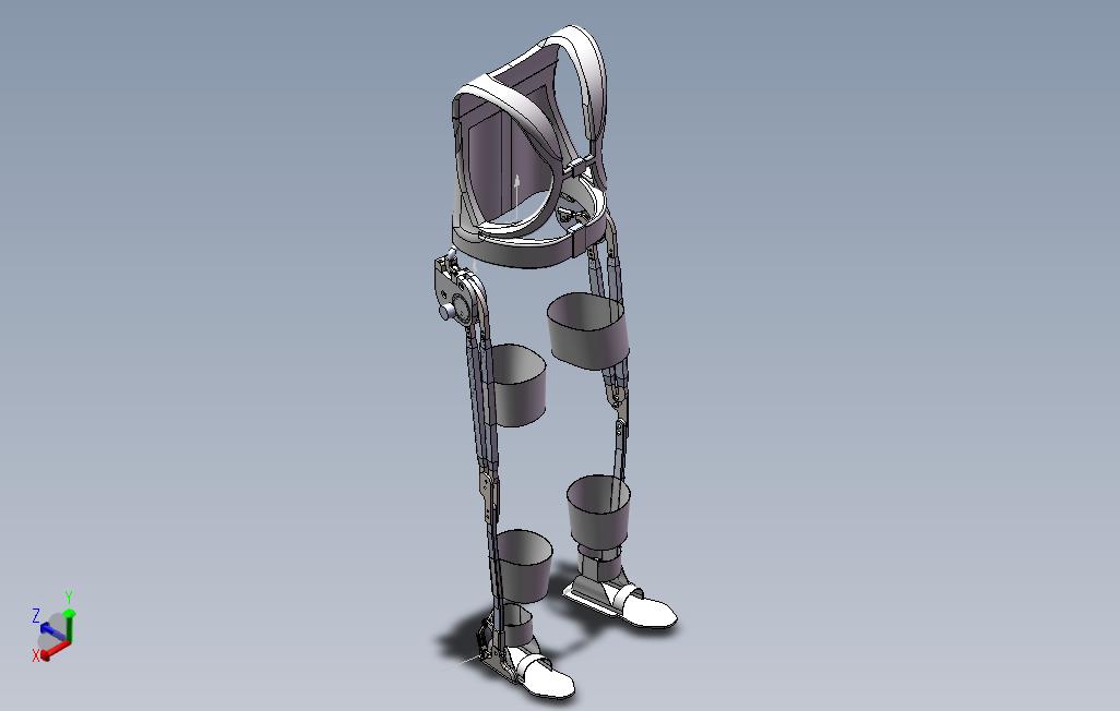 人体模型骨_SOLIDWORKS_免费图纸_模型下载 – 懒石网