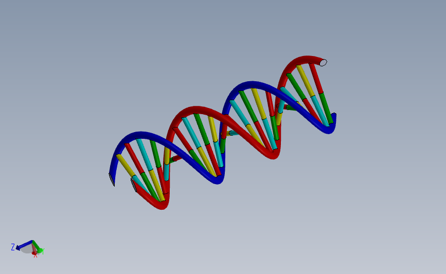 生物双螺旋DNA结构_SOLIDWORKS 2015_模型图纸下载 – 懒石网