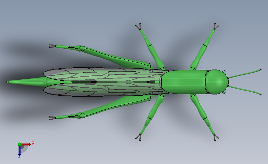 蝗虫蚂蚱_SOLIDWORKS 2015_模型图纸免费下载 – 懒石网