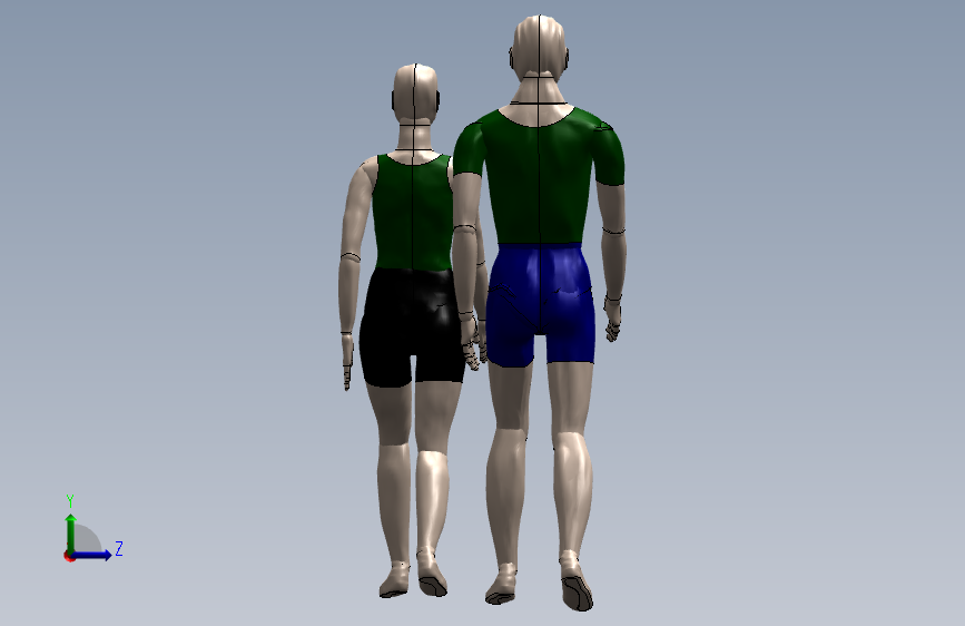 Y6807-人体模型 human-body SW STP_SOLIDWORKS 2015_模型图纸下载 – 懒石网